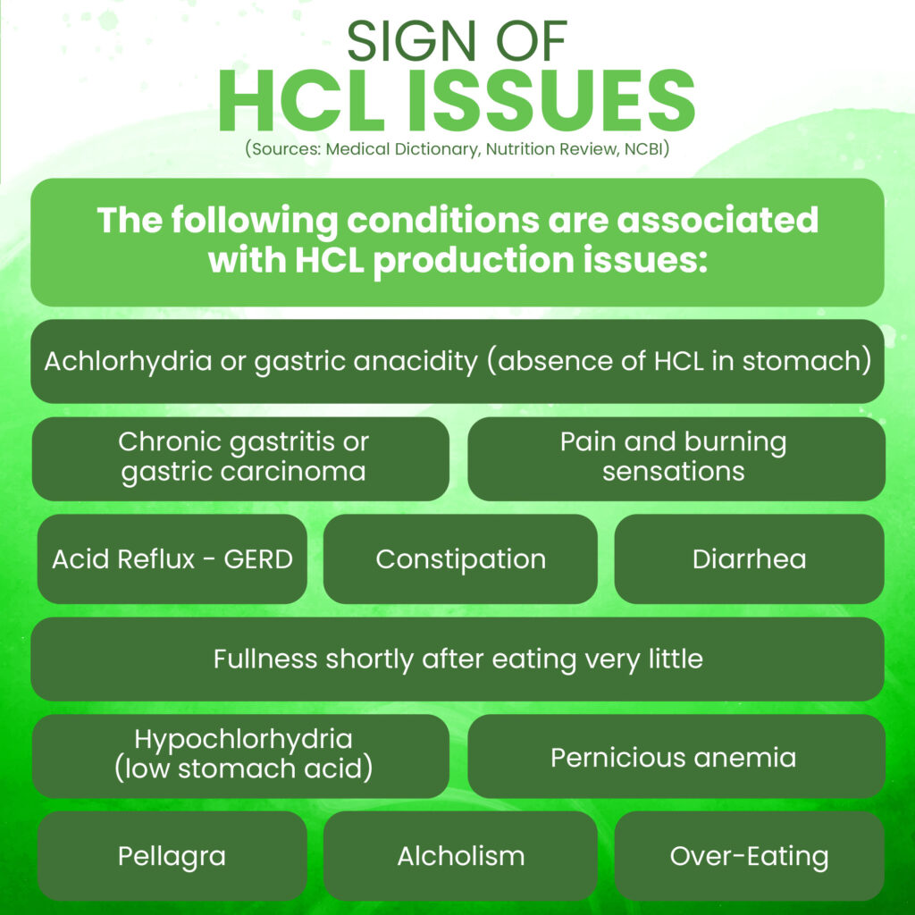 HCL Digestive Support Drops – Improve Digestion Naturally (4oz)